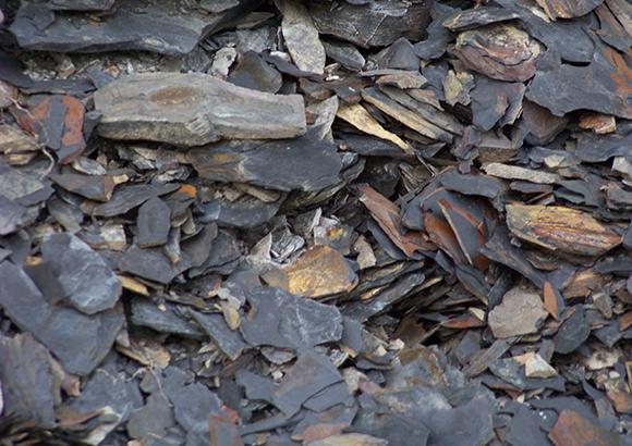 Total şi Lukoil ar putea exploata zăcământul de şisturi bituminoase ...