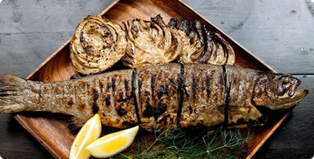 Focar de septicemie hemoragică virală la păstrăvii curcubeu, într-o ...