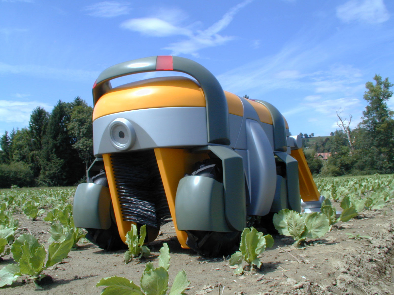 Uniunea Europeană introduce roboţii în agricultură - Economica.net