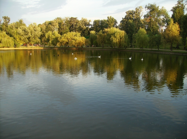 A început procedura de expropriere a terenurilor situate în Parcul ...