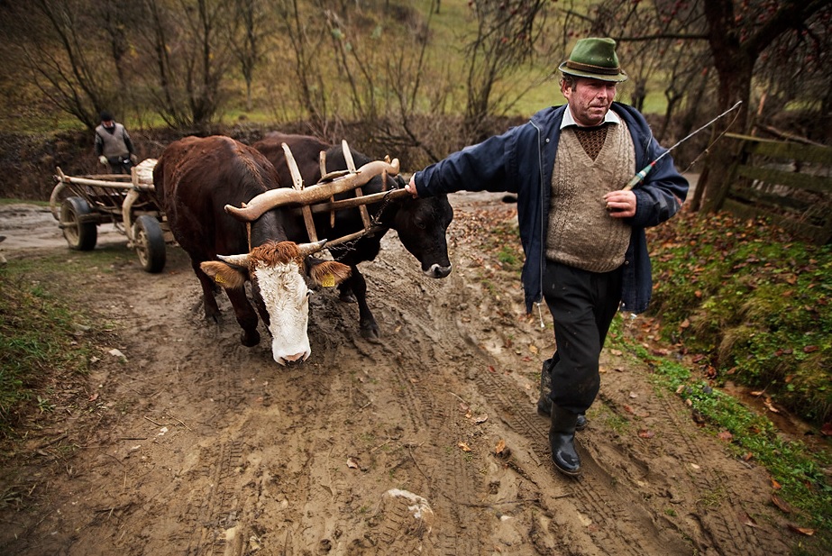 Show TV internaţional pe modelul "Supravieţuitorul", cu daci, vârcolaci ...