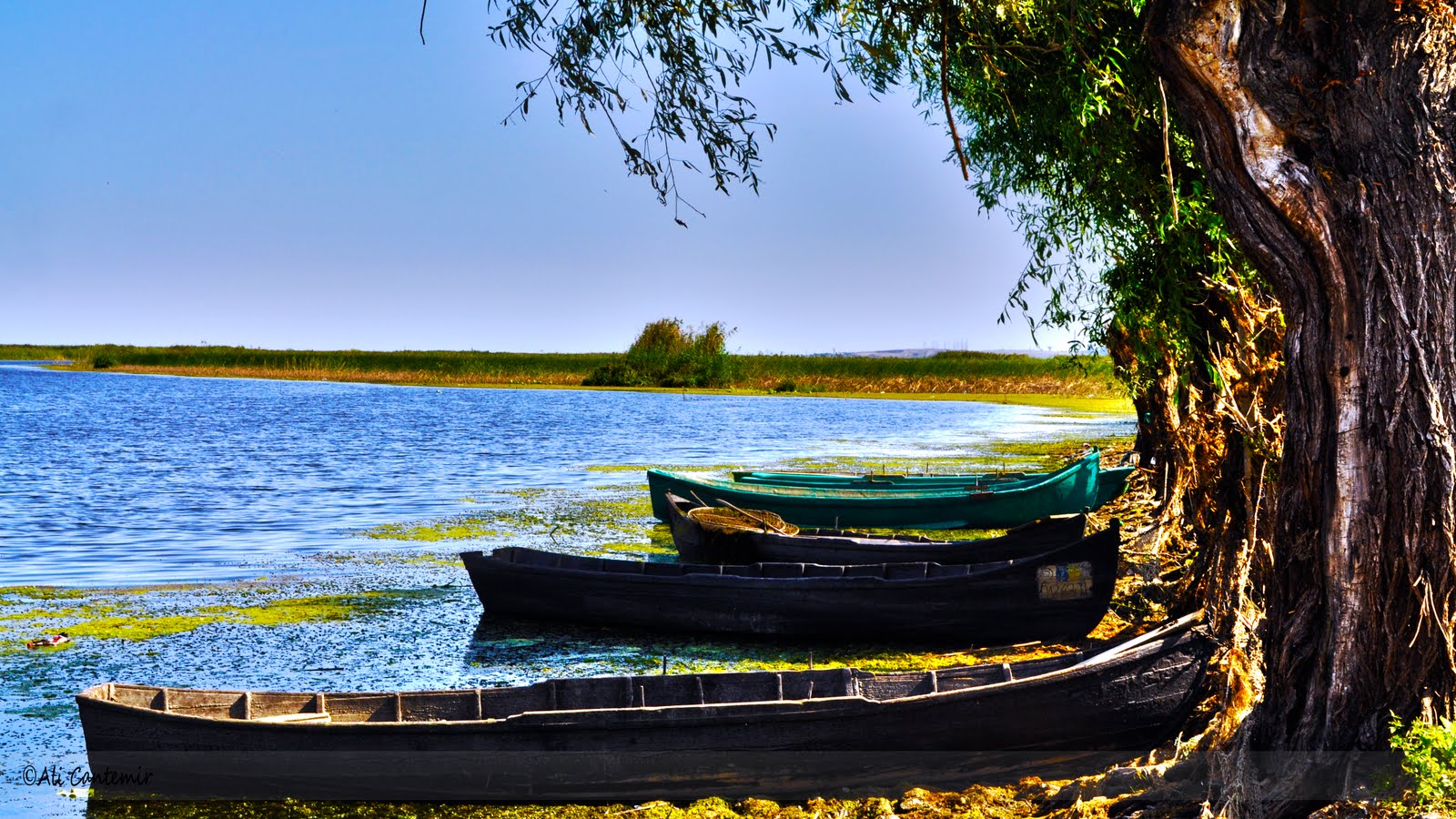 Camera Deputaţilor: Facilităţi fiscale pentru terenuri şi construcţii ...