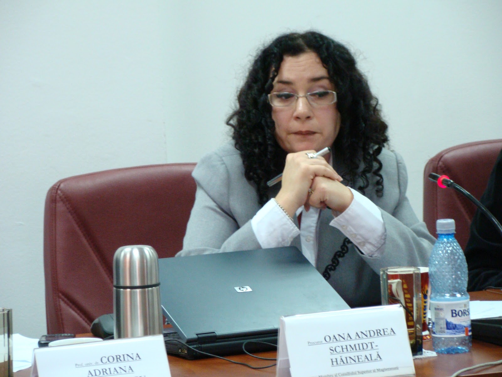 CSM a decis încetarea detaşării la MJ a procurorilor Oana Schmidt ...
