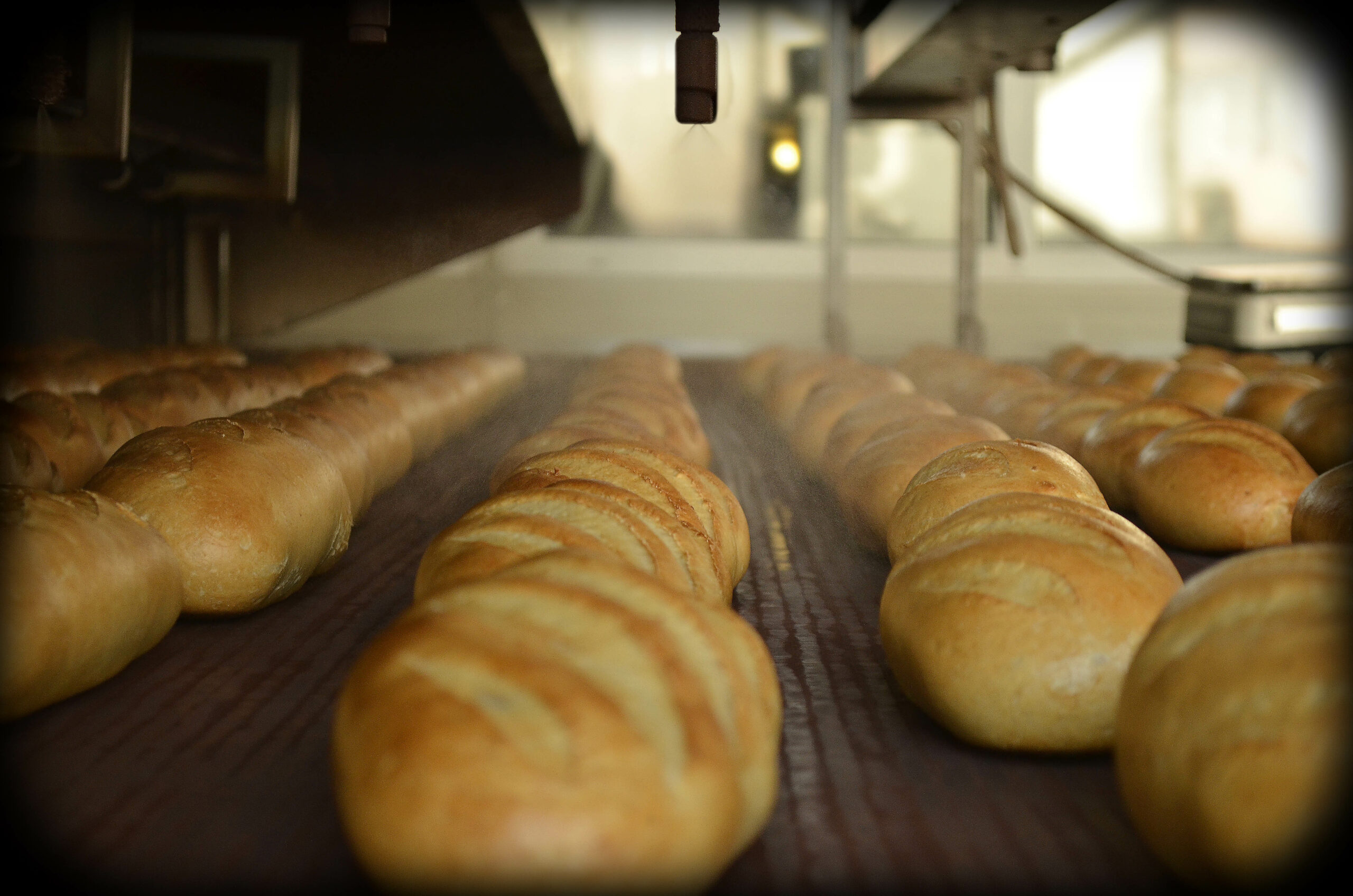 Pâinea şi produsele de panificaţie fabricate în România nu reprezintă ...