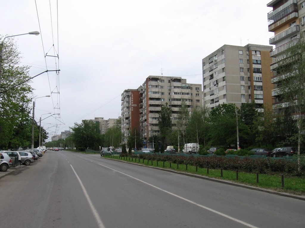 Cinci linii de autobuz ale STB care deservesc cartierul Drumul Taberei vor fi optimizate ...