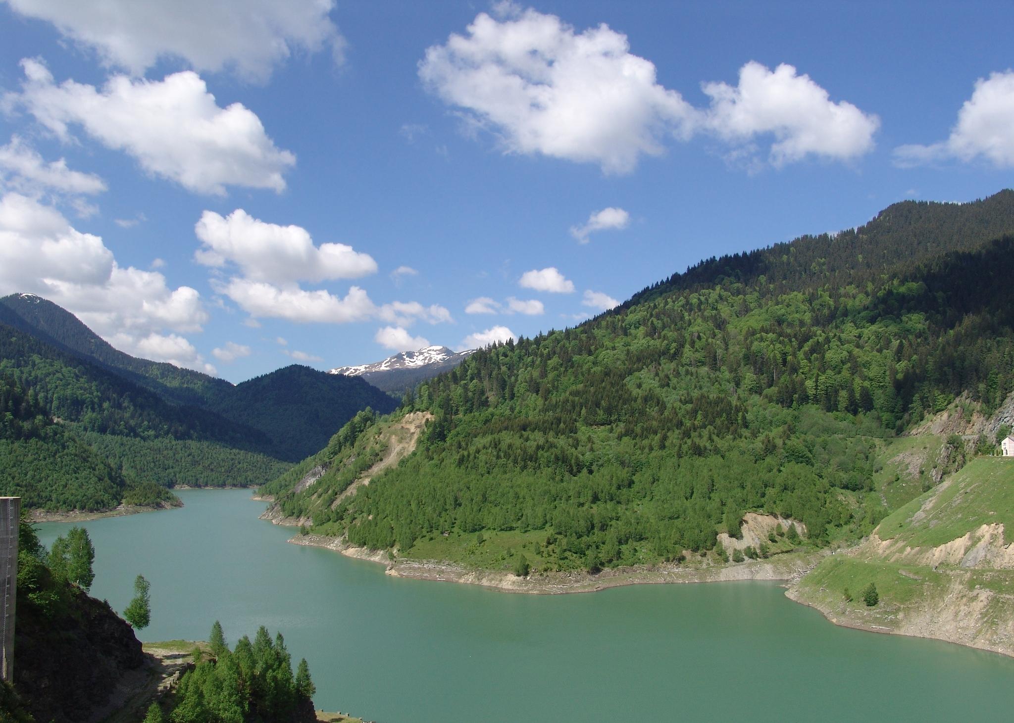 Hidroelectrica scoate la licitație retehnologizarea hidrocentralei Râul ...