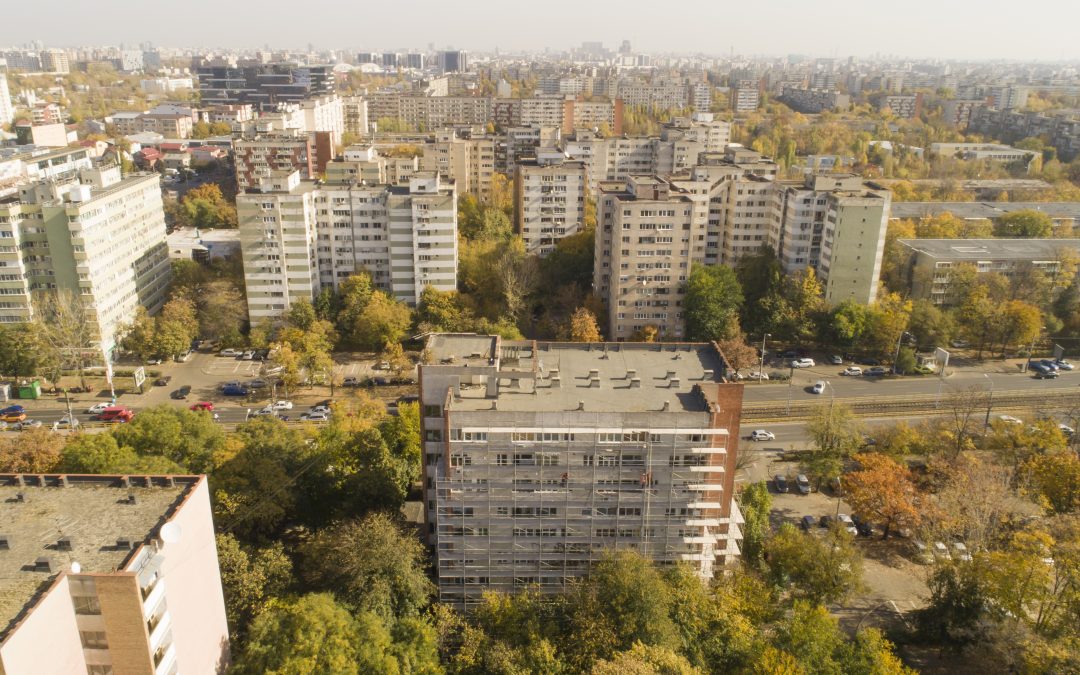 Sector 6: Amenajarea, întreţinerea şi salubrizarea spaţiilor verzi ...