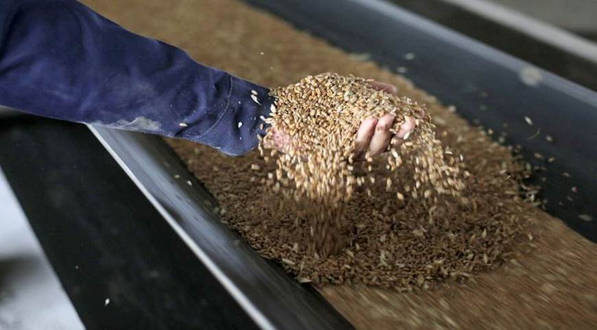 Record la exportul de grâu. România a vândut mai mult decât în 2018 ...