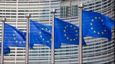 Pactul verde european - Uniunea Europeană adoptă norme mai stricte ...