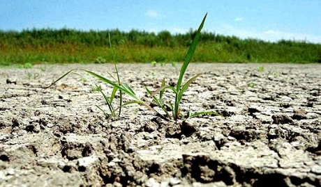Secetă pedologică în Dobrogea, pe suprafeţe extinse din Moldova şi în ...