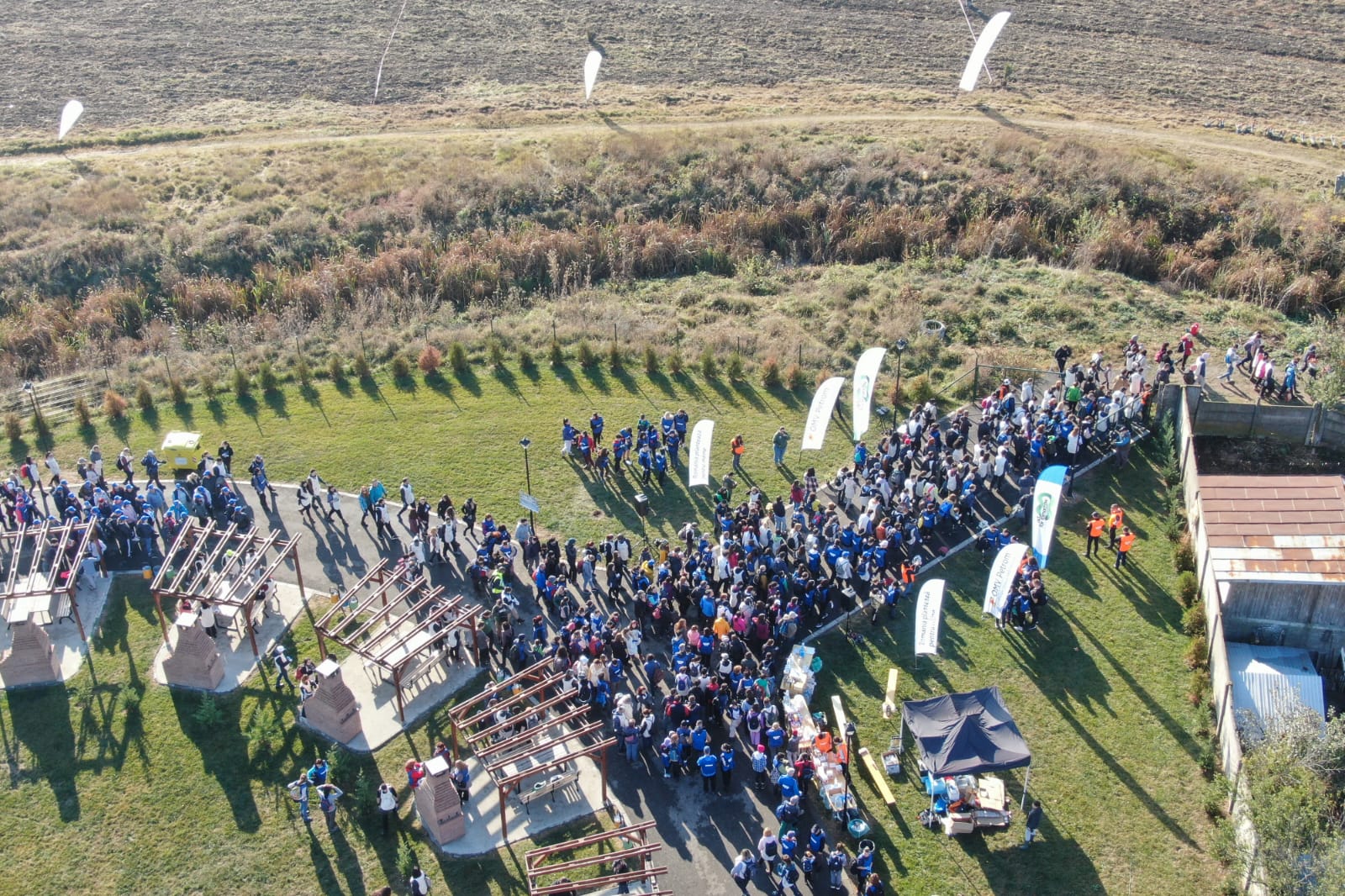 OMV Petrom a plantat 2 milioane de puieți în cadrul campaniei "România ...