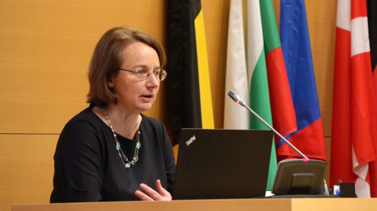 Gauer (Comisia Europeană): România este responsabilă ca stat pentru ...