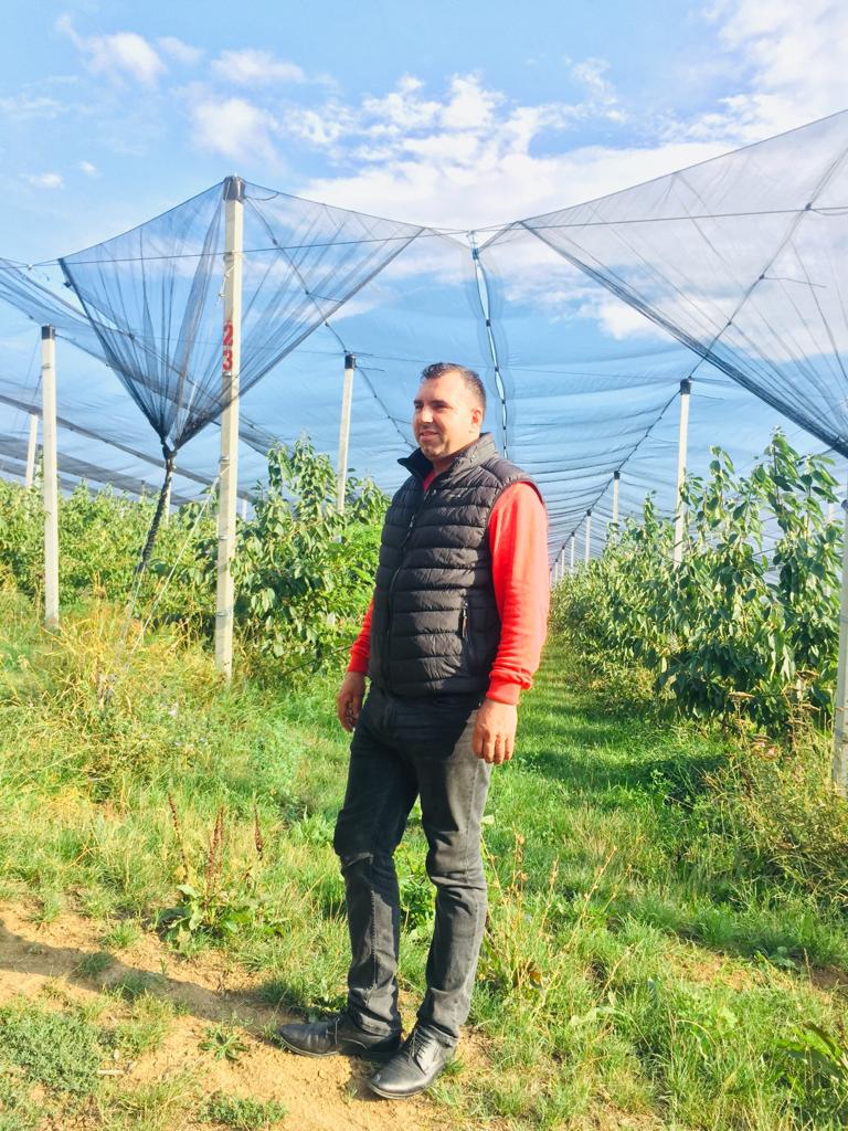 Și-au propus să producă cireșe bio fără niciun angajat și au reușit. La ...