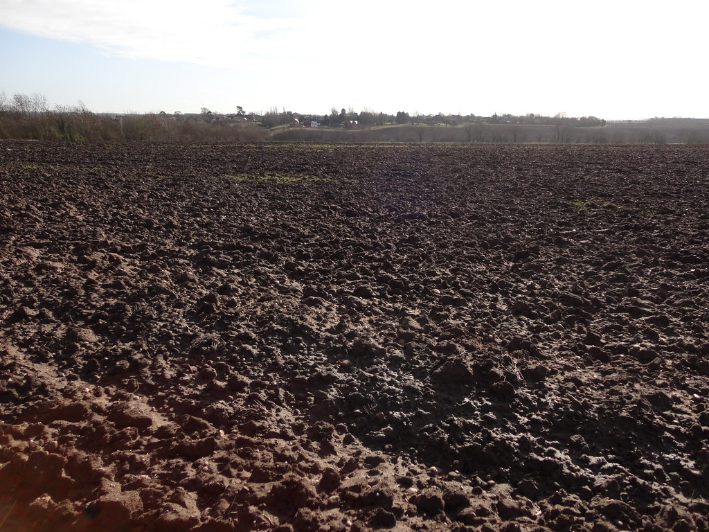 FAO a publicat primul raport privind situația la nivel mondial a ...