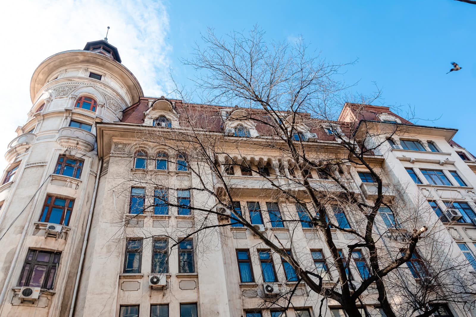 PMB vrea să identifice zonele de intervenţie prioritară pentru ...