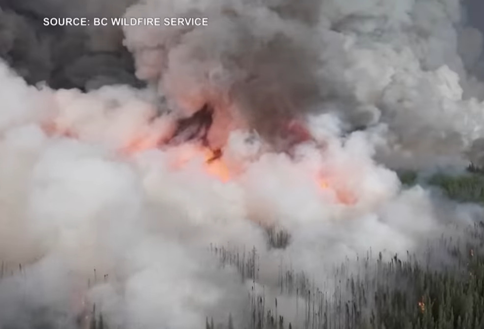 Economica.net - Incendiile de pădure din Canada duc la înflorirea ...