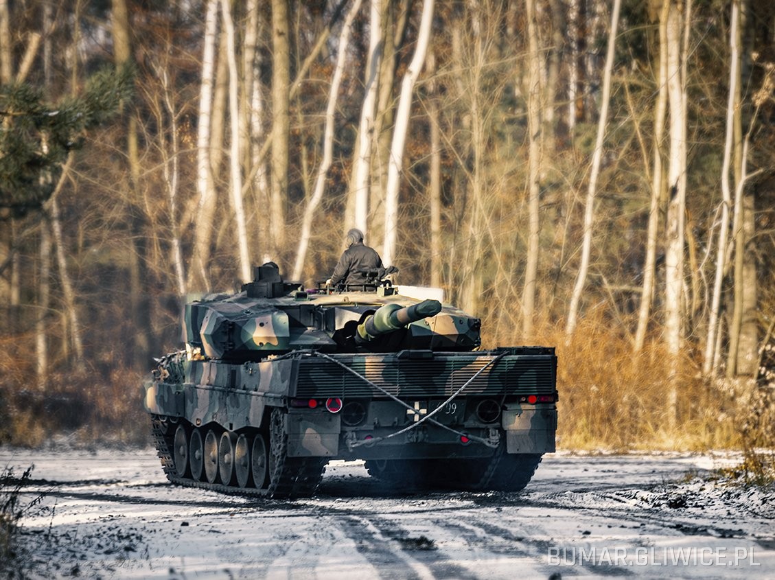 Armata germană trebuie să fie aptă de război în cinci ani - Economica.net