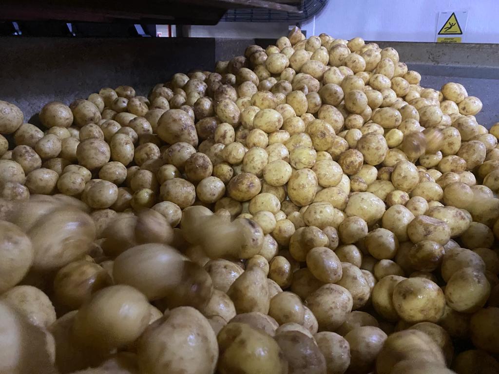 Grup Șerban Holding va investi 62,5 milioane euro în cea mai mare ...