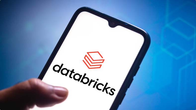Databricks, startup cu fondatori români evaluat la 43 de miliarde de ...