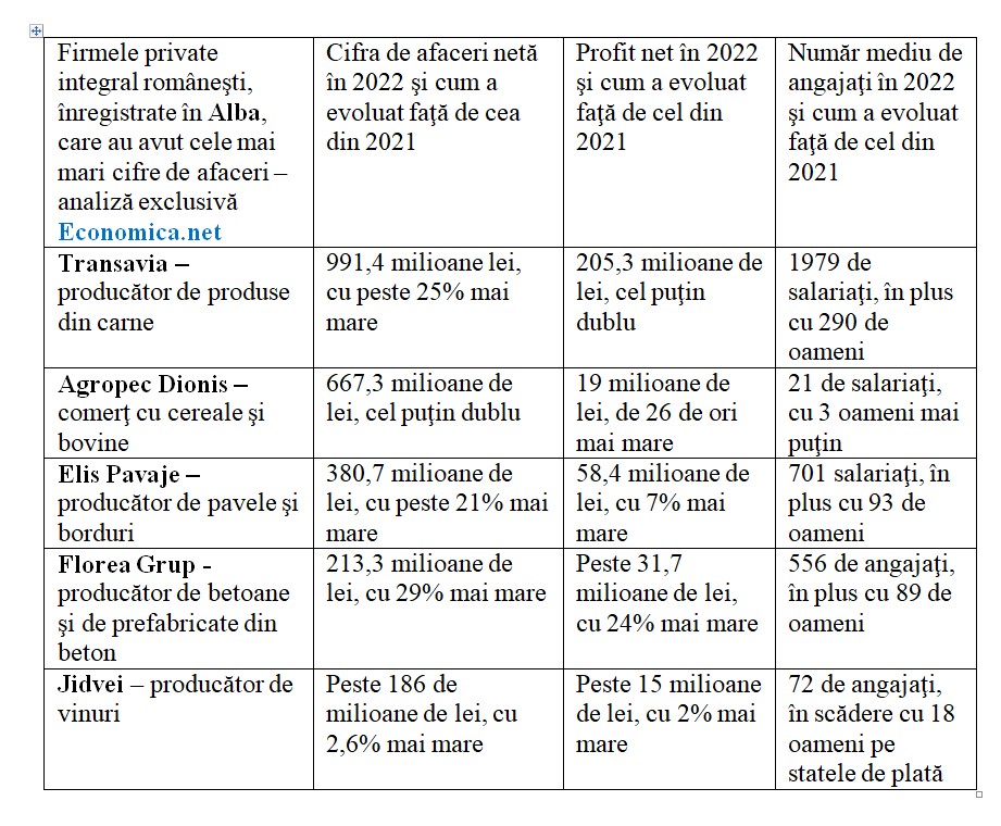 Cele mai puternice firme private integral româneşti din fiecare judeţ ...