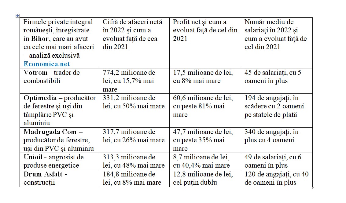 Cele mai puternice firme private integral româneşti din fiecare judeţ ...