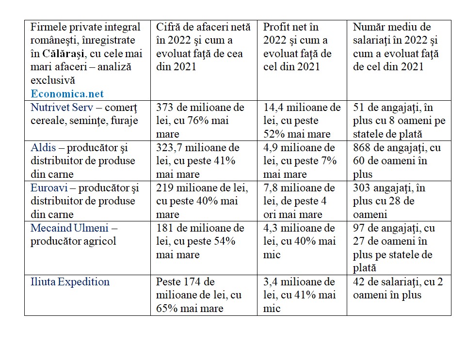 Cele mai puternice firme private integral româneşti din fiecare judeţ ...