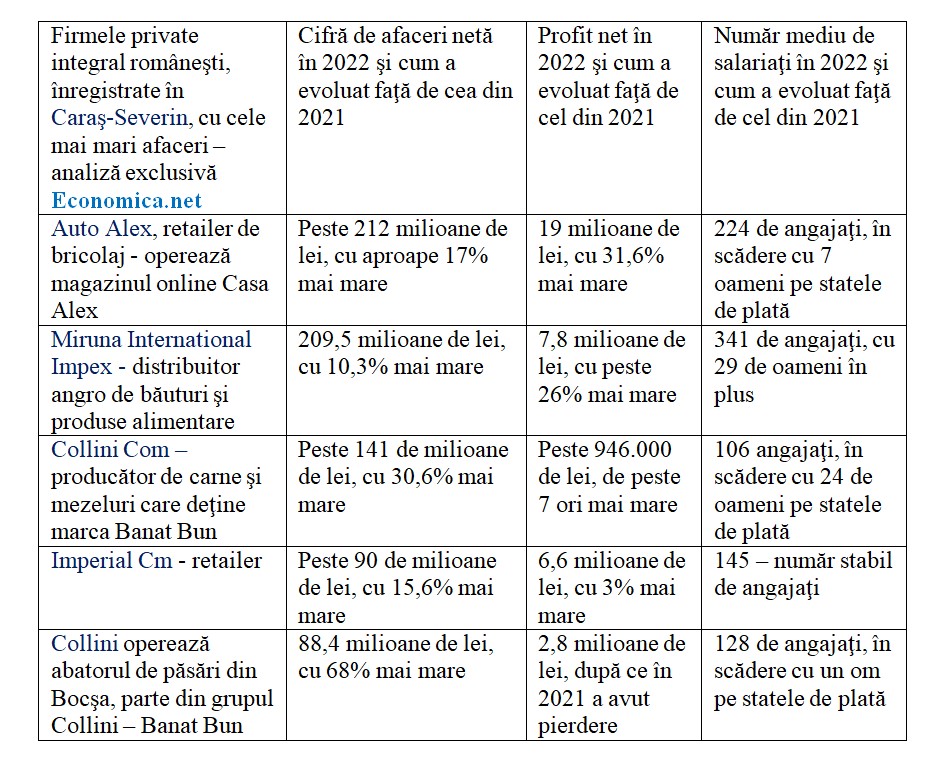 Cele mai puternice firme private integral româneşti din fiecare judeţ ...