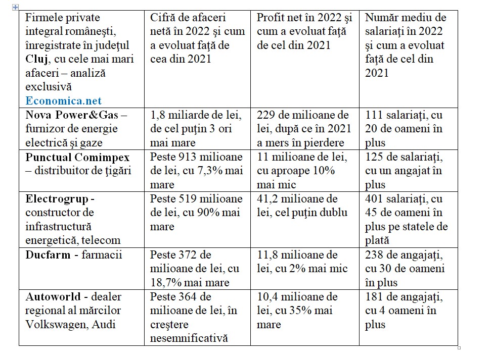 Cele mai puternice firme private integral româneşti din fiecare judeţ ...