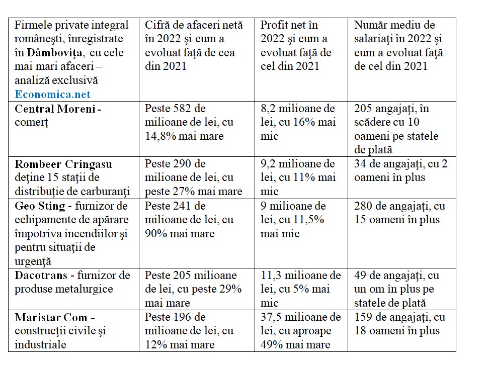 Cele mai puternice firme private integral româneşti din fiecare judeţ ...