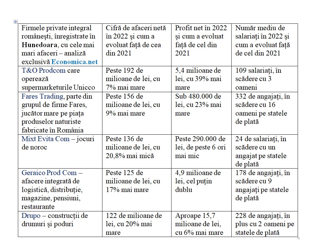 Cele mai puternice firme private integral româneşti din fiecare judeţ ...