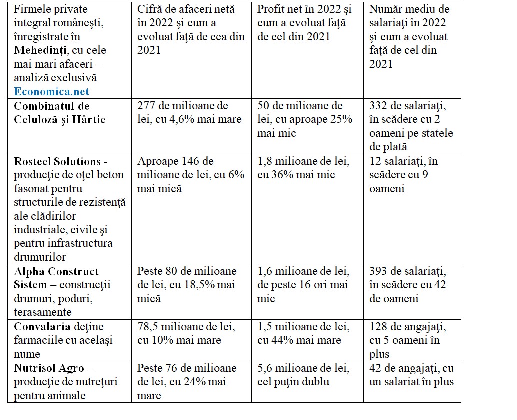 Cele mai puternice firme private integral româneşti din fiecare judeţ ...