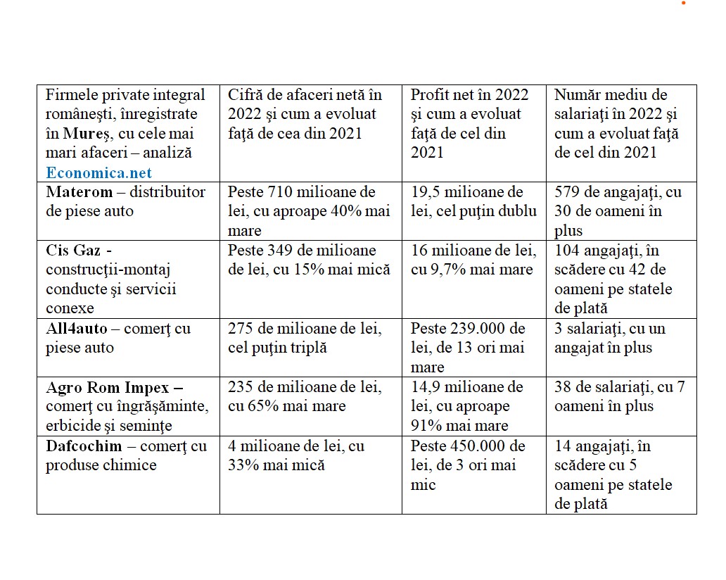 Cele mai puternice firme private integral româneşti din fiecare judeţ ...