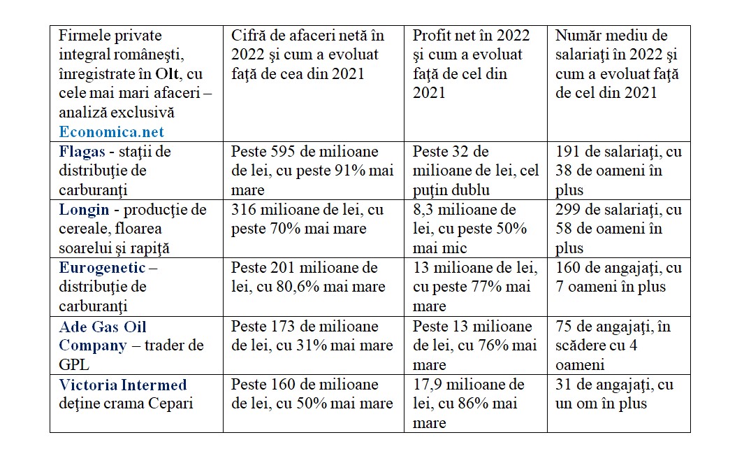 Cele mai puternice firme private integral româneşti din fiecare judeţ ...