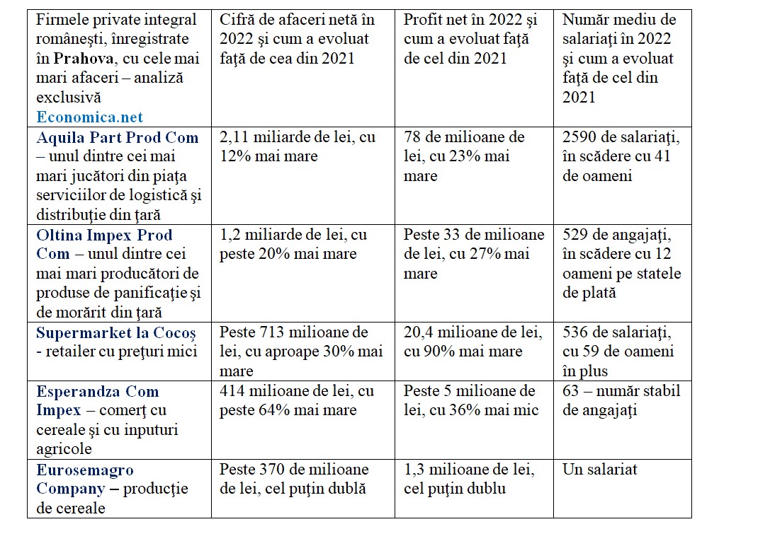 Cele mai puternice firme private integral româneşti din fiecare judeţ ...