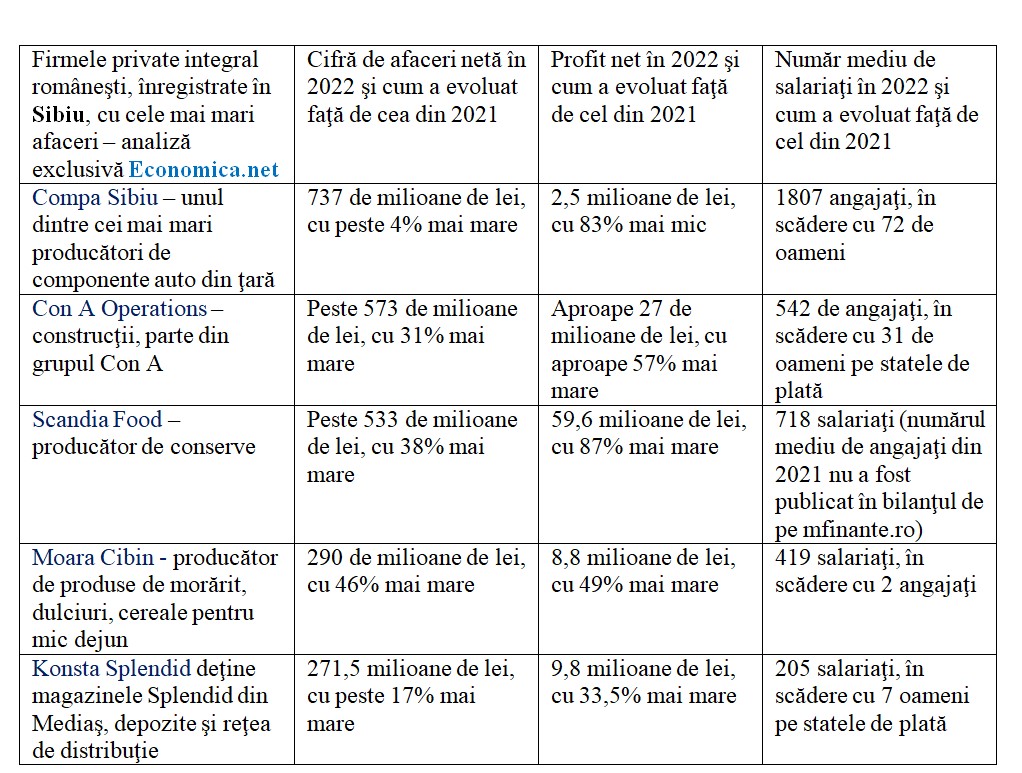 Cele mai puternice firme private integral româneşti din fiecare judeţ ...