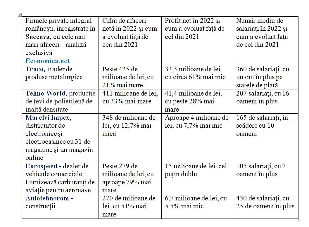 Cele mai puternice firme private integral româneşti din fiecare judeţ ...