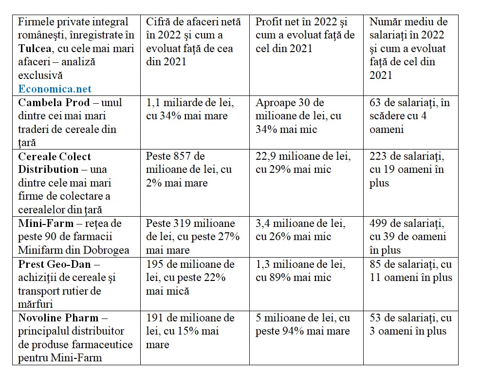 Cele mai puternice firme private integral româneşti din fiecare judeţ ...