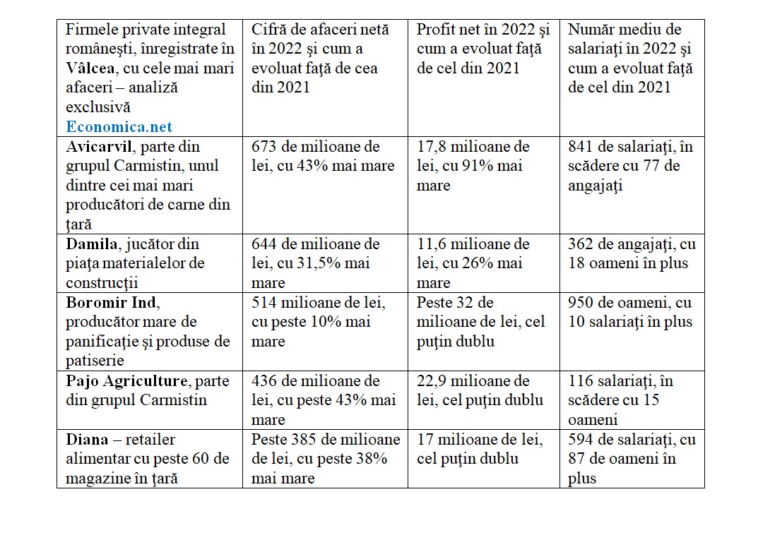Cele mai puternice firme private integral româneşti din fiecare judeţ ...