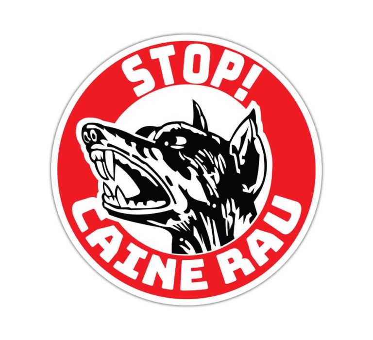 Este lege pentru proprietarii de câini. Cât trebuie să plătești pentru ...