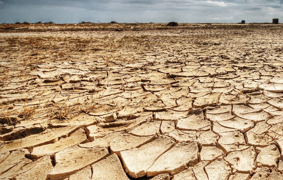 Secetă pedologică în cultura grâului de toamnă în Moldova, Muntenia şi ...