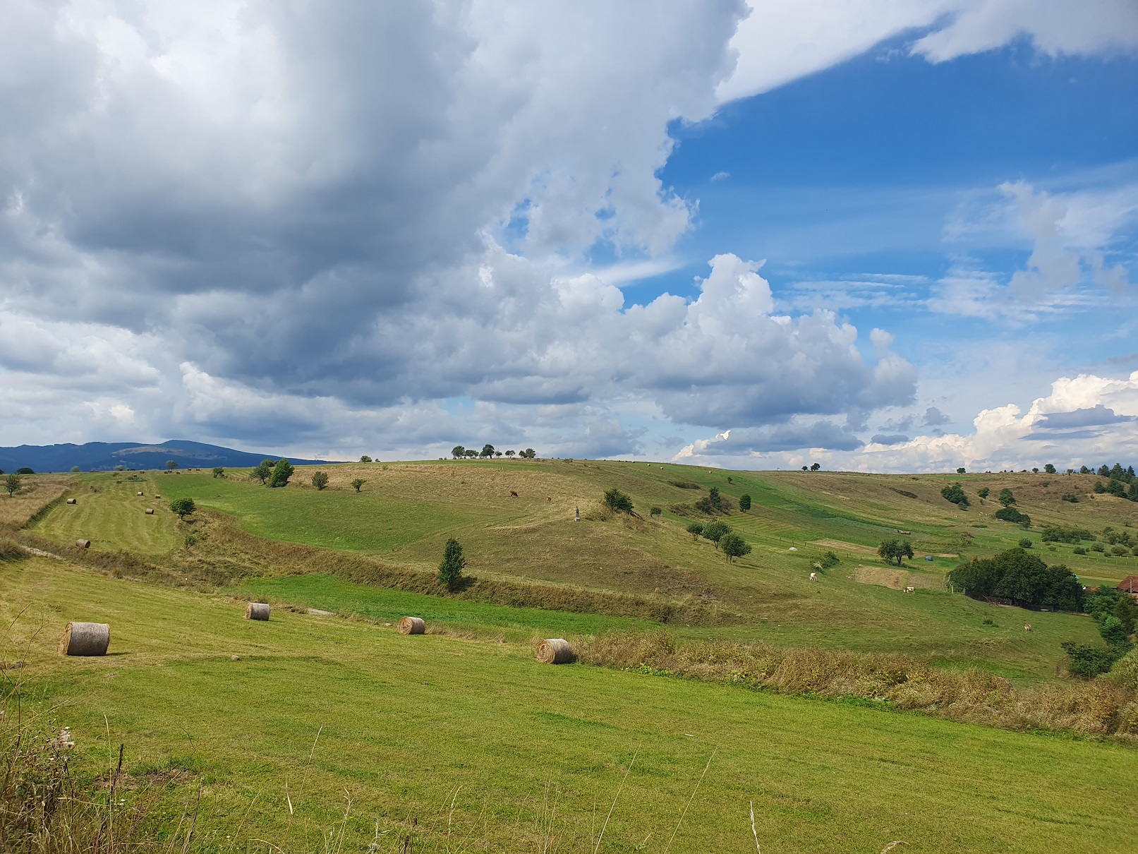 Prețul terenurilor arabile a ajuns la o medie de peste 8.400 de euro ...