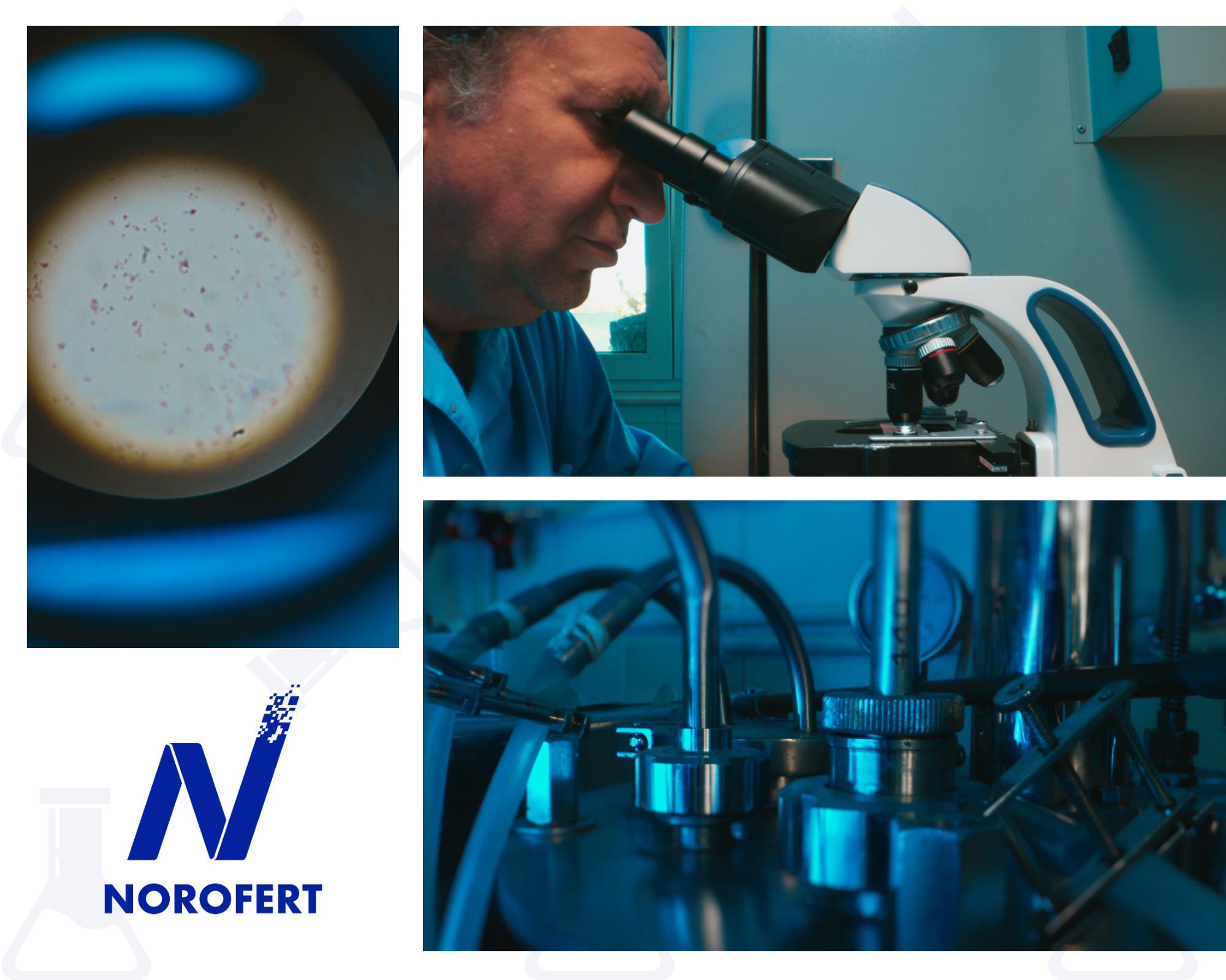 Norofert investește 6 milioane de lei într-un laborator unic în România ...