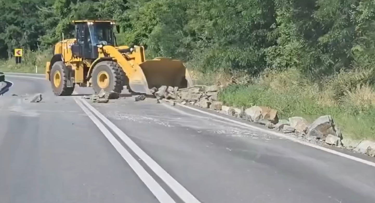 Valea Oltului, închisă. Ziua 1: 800 de arbori tăiați din 20.000 vizați ...