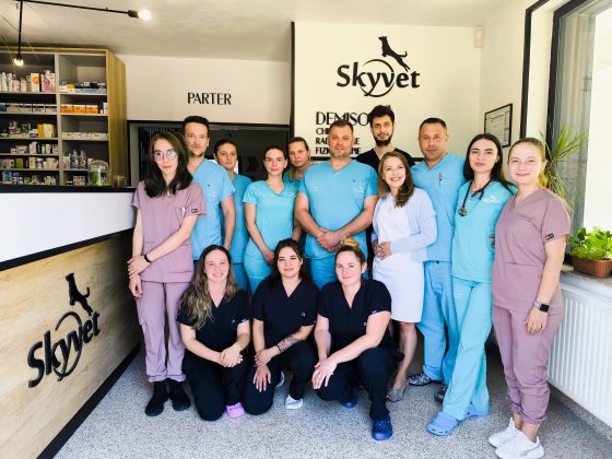 PartnerVet a cumpărat clinica veterinară Sky Vet - Economica.net