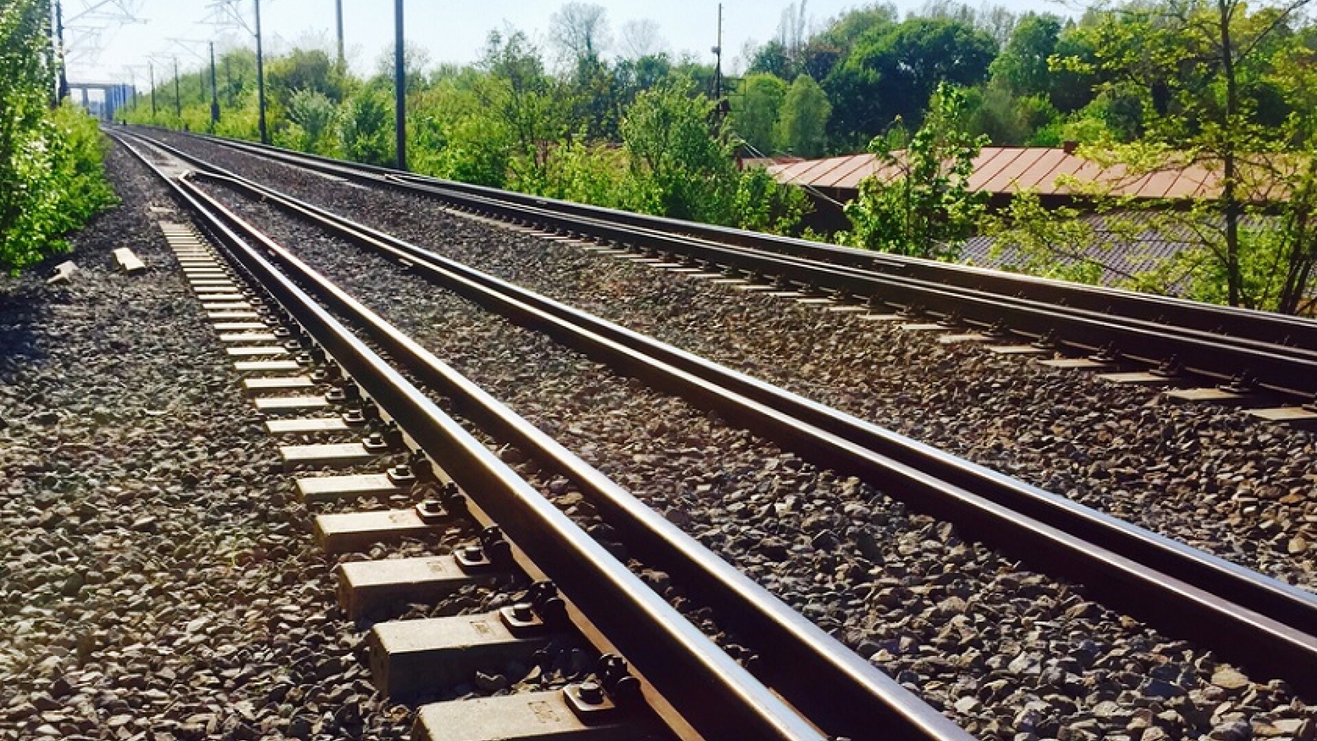 CFR anunță că linia Loamneş - Ocna Sibiului a fost redeschisă pentru ...