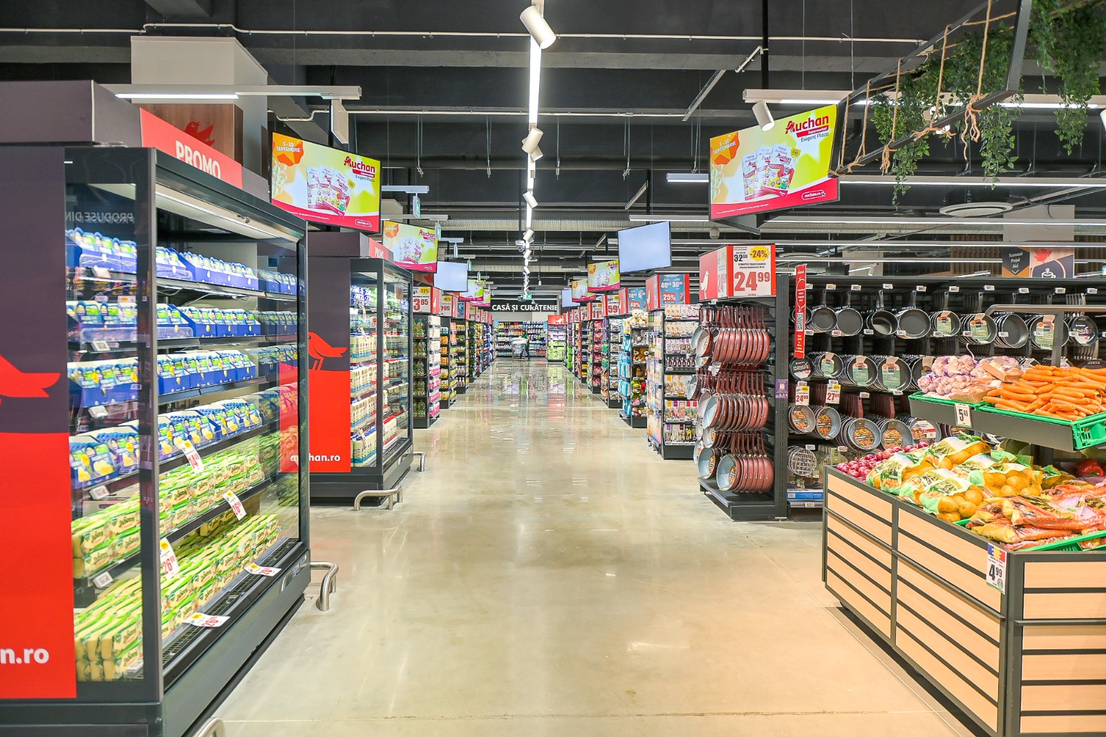 Auchan reduce prețurile cu până la 50% la peste 1.600 de produse ...