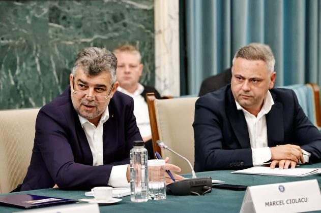 Ciolacu, întrevedere cu Celine Gauer, directorul SG Recover - Economica.net