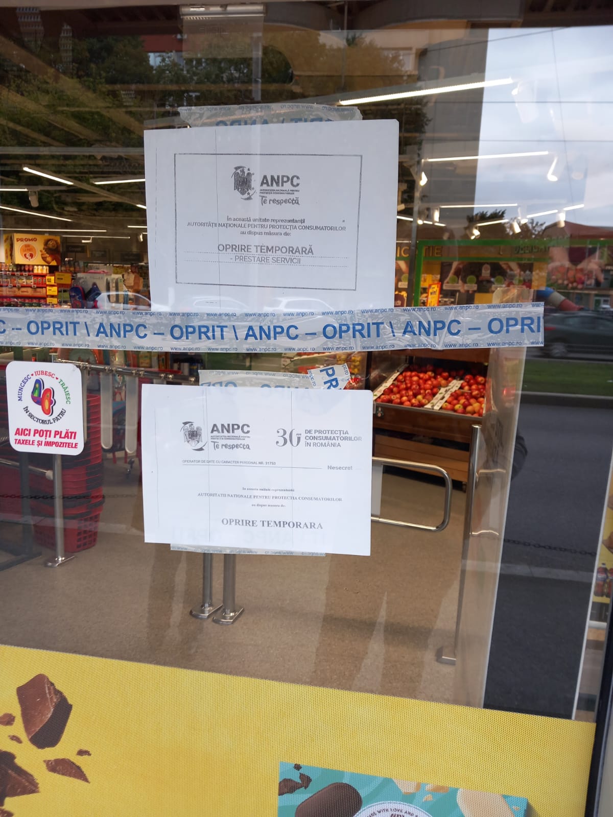 13 magazine ale lanțurilor Auchan, Mega Image, Carrefour, Profi, Penny ...