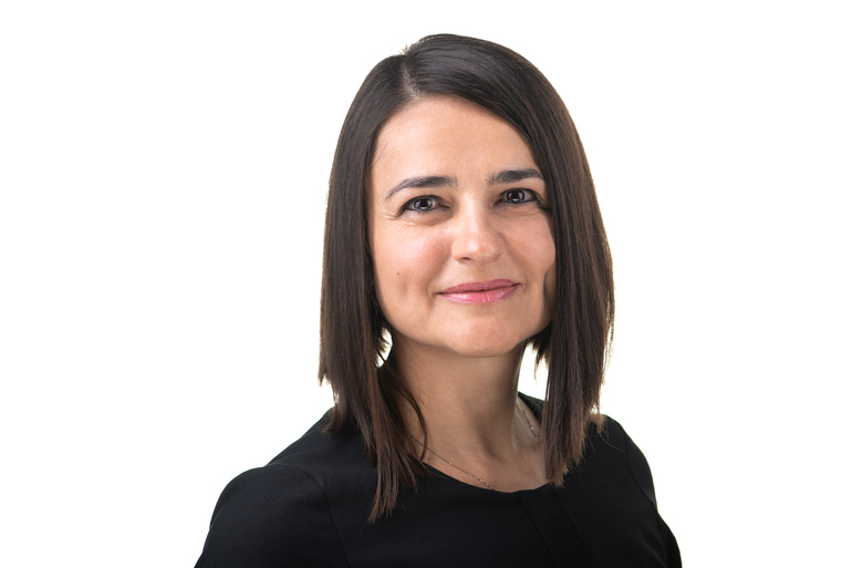 AGISTA iese din acționariatul companiei IT Dendrio, controlată de ...