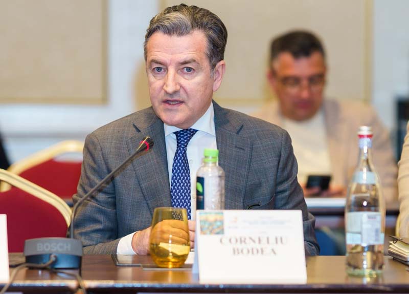 Corneliu Bodea, CRE: Investiția în rețelele electrice, chiar dacă duce ...